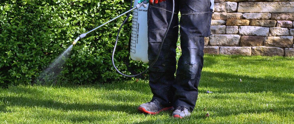 It’s Tick Season in Ohio - Keep Your Kids & Pets Protected | Free Spray ...