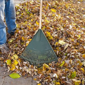 The Benefits of Mulching Leaves in the Fall | Free Spray Lawn Care